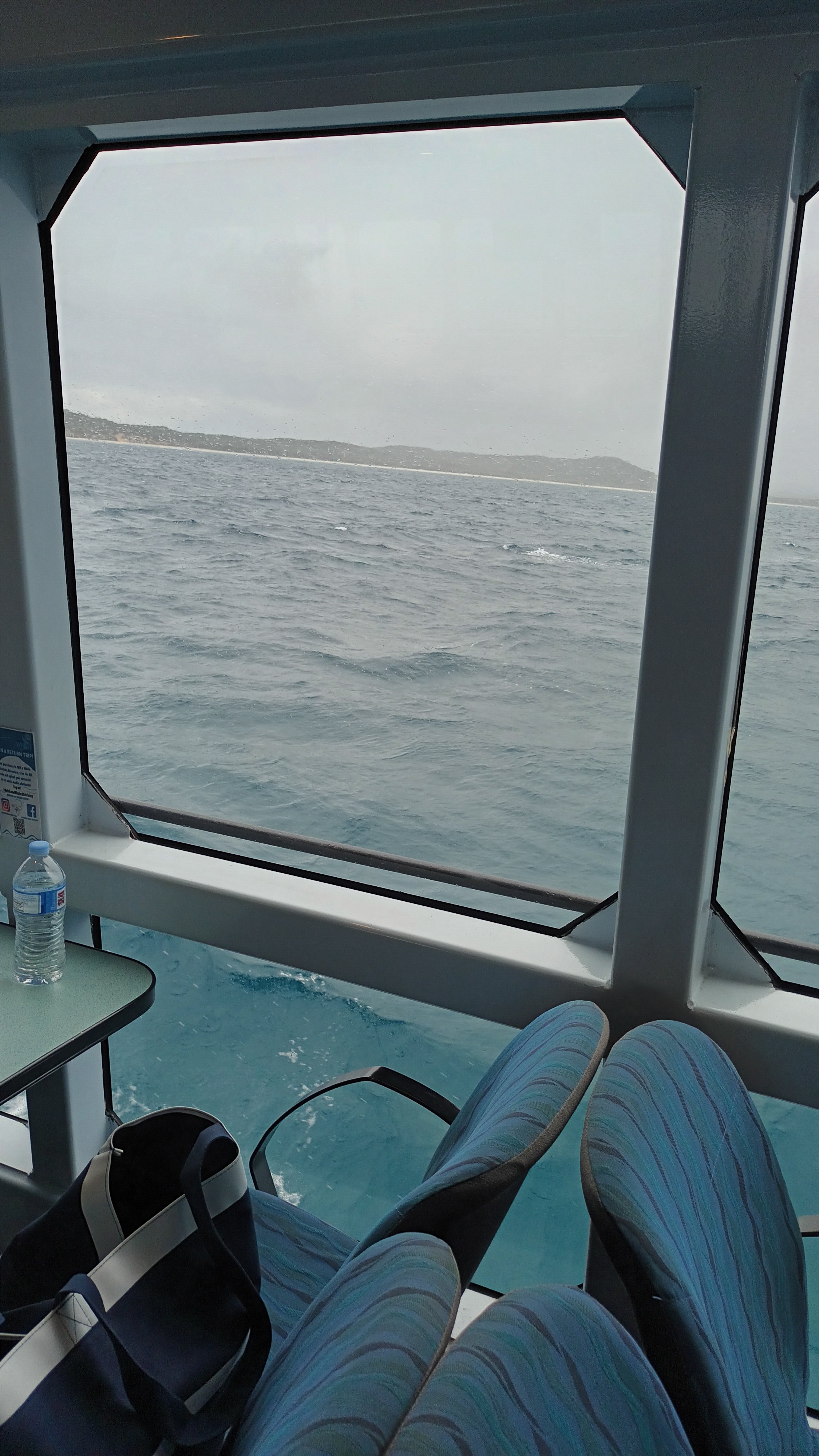 My Australian Journey 2022 #5: Whale-Watching in Moreton Bay