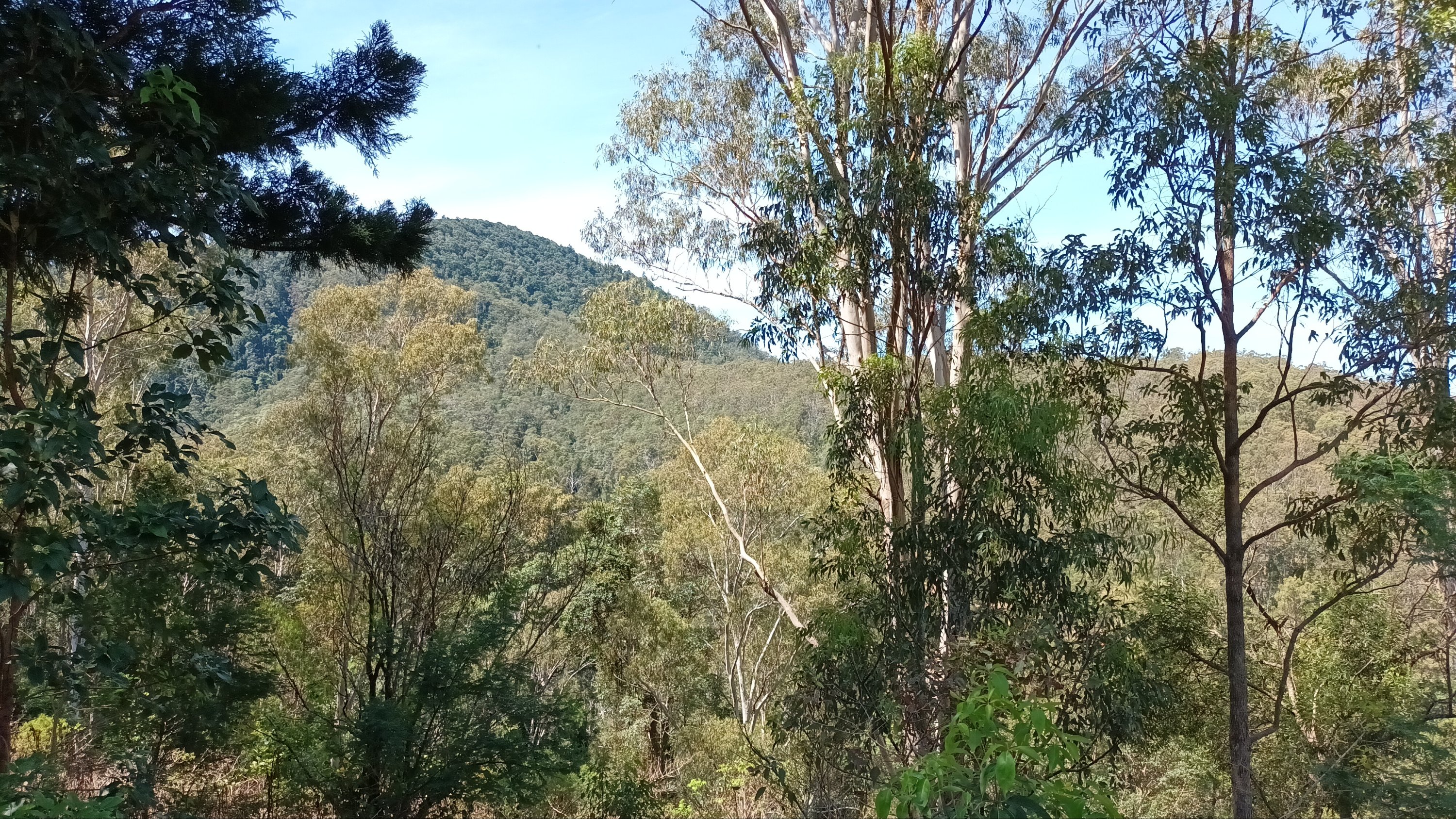 My Australian Journey 2022: #8 New South Wales views